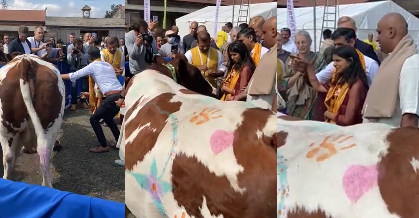 ആരതി ഉഴിഞ്ഞ് ഗോപൂജ നടത്തി; ബ്രിട്ടൻ പ്രധാനമന്ത്രി സ്ഥാനാർഥിയായ ഇന്ത്യ ...