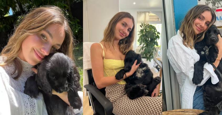 Helping Your Pet Overcome Separation Anxiety: A Young Woman's Journey ...