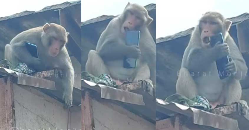 ഫോണ്‍ തട്ടിയെടുത്ത് പുരപ്പുറത്തുകയറി; അനുനയനീക്കം; ഒടുവില്‍ കീഴടങ്ങി ...