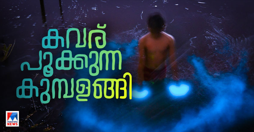 Kumbalangi | Kavaru | Bioluminescence | Kerala | Kochi | ഇത്തവണയും കവര് ...