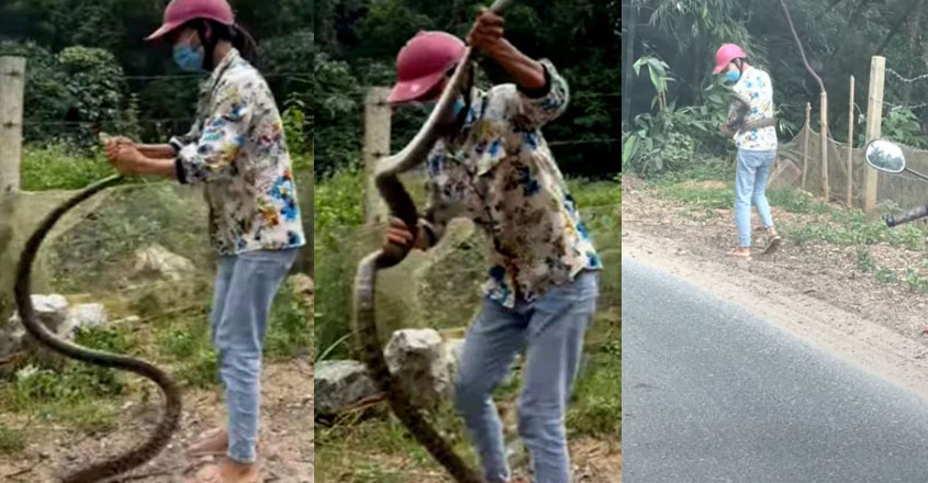 വഴിയിൽ പാമ്പ്; സധൈര്യം കൈകൊണ്ട് പിടിച്ച് യുവതി; വിഡിയോ | Woman Catches ...