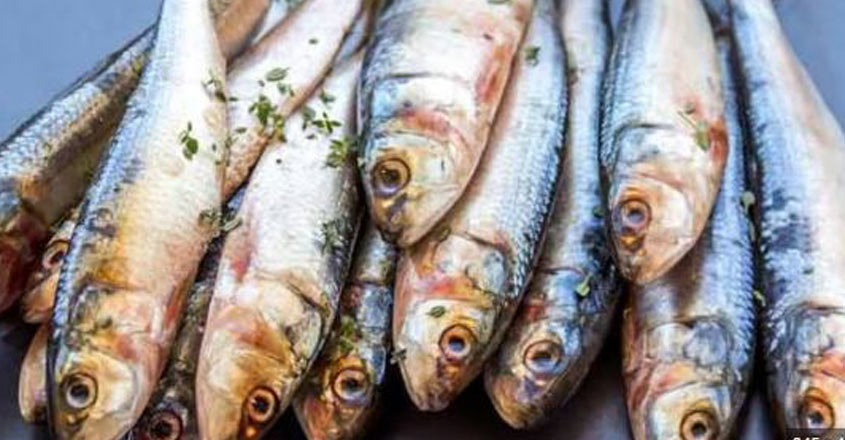 Fatal Botulism Outbreak Linked to Sardines at French Hotel: Woman Dies ...